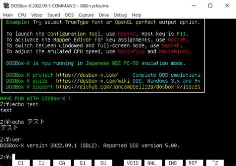 When Is 0844 2022100 Coming · Issue 3774 · Joncampbell123dosbox X · Github