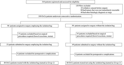 Flow Chart Enrolment Randomization And Treatment Download