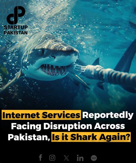 Muhammad Khizer Bikiya On Linkedin Yes Sharks But Not Under The Ocean These Sharks Roam