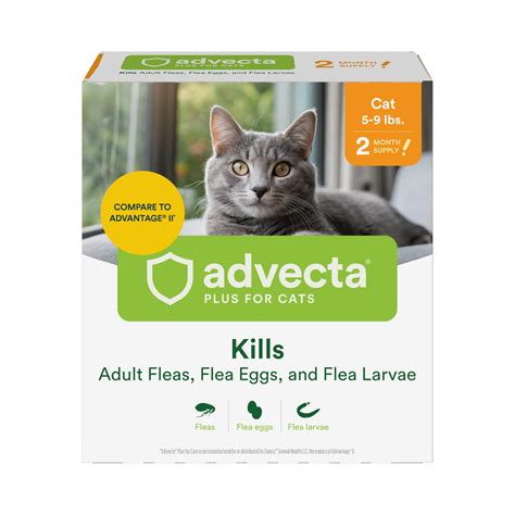 Plus Flea Prevention For Cats Cat And Kitten Treatment And Control Sma