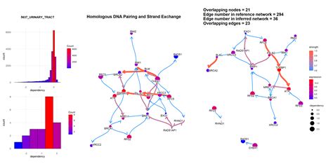 Chapter 3 Bngeneplot Cbnplot