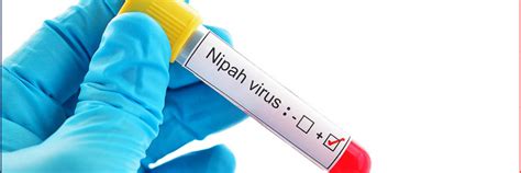 Health Emergency Nipah Virus Strikes Again What Do You Need To Know A — Dr Trust