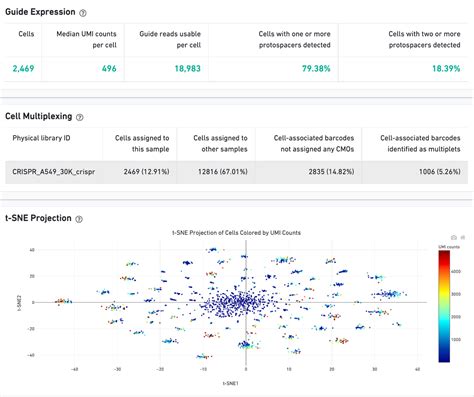 Web Summary Cell Ranger Multi Software Single Cell Gene Expression Official 10x Genomics Support