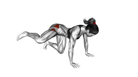 10 Hamstring Exercises For Seniors Strengthen And Stretch Your Lower Body Workout Guru