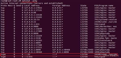 Linux下查看网络连接、进程、服务linux查看网络连接 Csdn博客 Linux下查看网络连接、进程、服务linux查看网络连接 Csdn博客