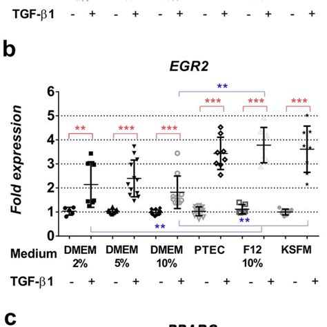 Gene Expression Pattern Of Transcription Factors Upon Culture Medium Download Scientific