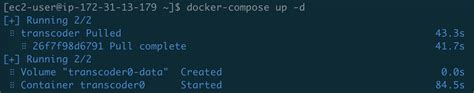 Run Docker Container