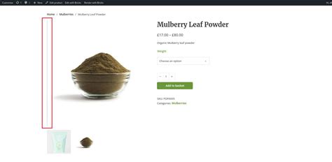 No Bug Woocommerce Single Product Gallery Image Issue Bugs Bricks