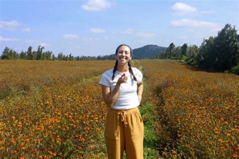 Sfu Faculty Of Environment On Linkedin Sfu