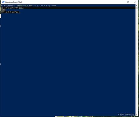 Redis详细讲解超级详细redis实例化 Csdn博客