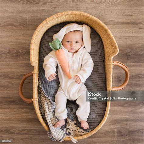 하얀 토끼 복장을 입고 카메라를 똑바로 쳐다보며 당근과 함께 아늑한 해초 모세 바구니에 누워 있는 심술궂은 16주 된 토끼 아기 소년 2 5 개월에 대한 스톡 사진 및 기타