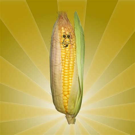 Corn In Vegetable Stock At Robert Sandoval Blog