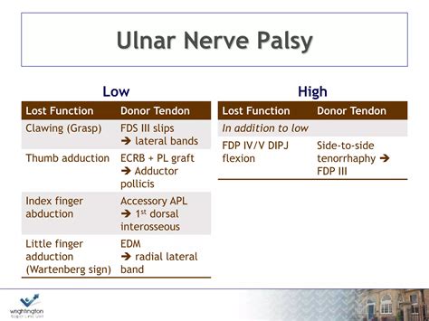 Tendon Transfers In Hand Pptx
