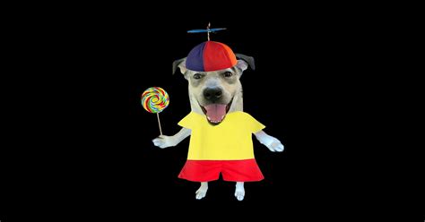 Silly Dog With Lollipop And Funny Meme Silly Dog With Lollipop