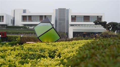 Liquid Trees Take Root Indias First Urban Bio Reactor In Delhi Ncr