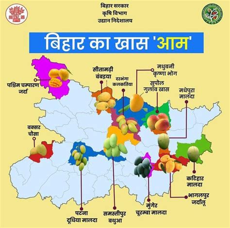 Mango Verities Of Bihar R Indiaspeaks