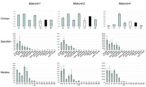 Rt Qpcr Expression Analysis Of Makorin Genes In Vertebrate Embryos And