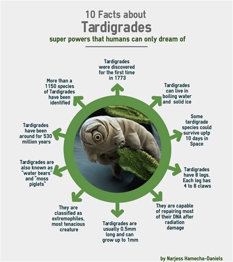 Long Live The Tardigrade Which Will Outlive Us All Star Letters