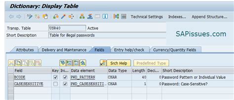SAP Security Archives SAPissues Com