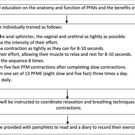 Instructions For Women Pfm Pelvic Floor Muscle Pfme Pelvic Floor
