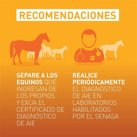 Senasa Confirmó Un Caso De Anemia Infecciosa Equina En El Hipódromo De