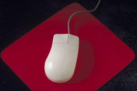 Computer Mouse Free Photo Download Freeimages