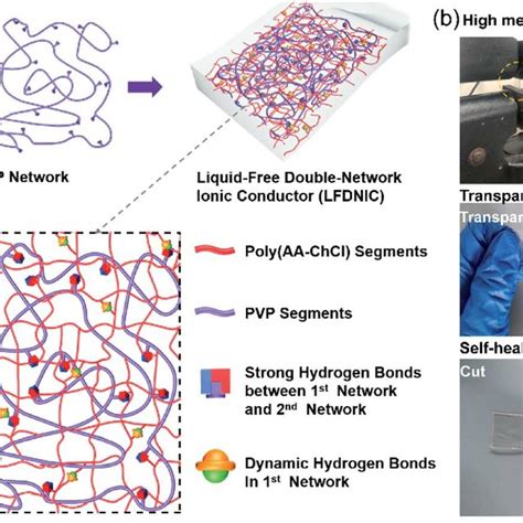 Design Concept For The Liquid Free Double Network Ionic Conductors Download Scientific Diagram
