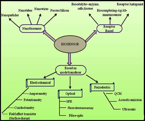 Classification Of Biosensors On The Basis Of Different Processes