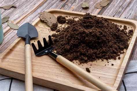 Tips For Reusing Potting Soil