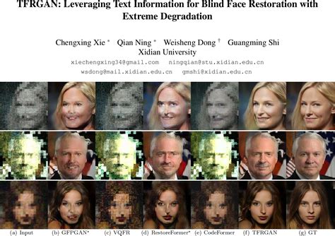 Figure 2 From Tfrgan Leveraging Text Information For Blind Face Restoration With Extreme