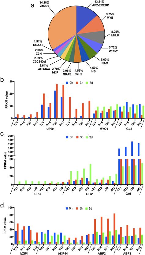 A TF Genes And Classification Of TF Families TF Genes Were Download Scientific Diagram
