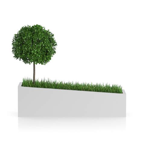 Tree An Grass In Rectangular Planter 3d Model Download Trees On