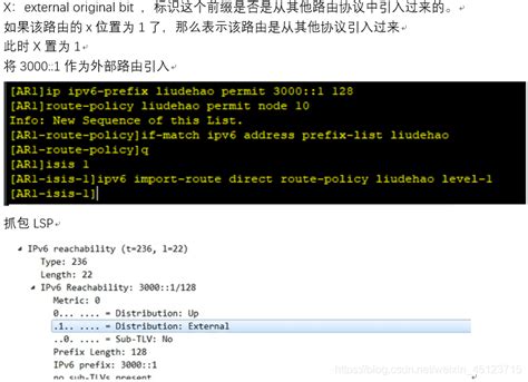 isisv6（扩展tlv字段及报文抓包、单拓扑及实验、多拓扑及实验） tlv扩展 csdn博客