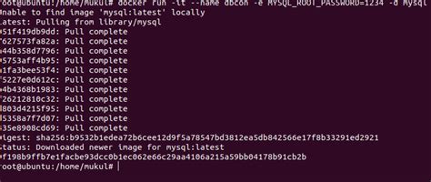 Docker Container Linking Geeksforgeeks