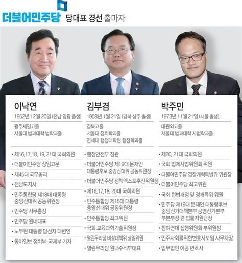 인포그래픽 더불어민주당 당대표 경선 출마자