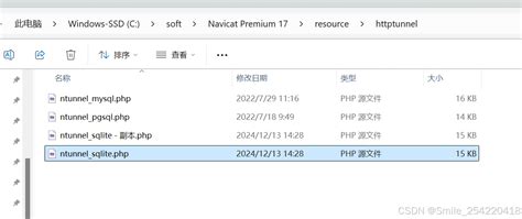 Navicat Premium 远程连接 Sqlite文件navicat连接sqlite Csdn博客