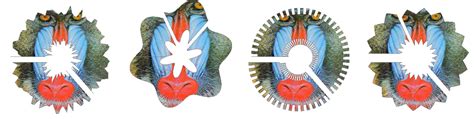 Plotting How To Make A Pie Chart Using Custom Image Mathematica Stack Exchange