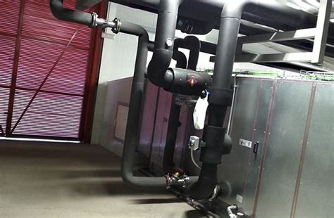 Incubation In Hot Humid Climates Royal Pas Reform Integrated