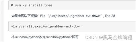 linux常用知识点与问题解答 invalid version flag if csdn博客