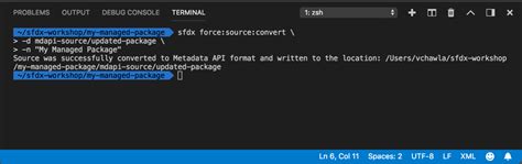 Convert Sfdx Source To Mdapi Source Salesforce Dx For Isvs