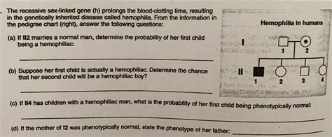 Solved The Recessive Sex Linked Gene H Prolongs The