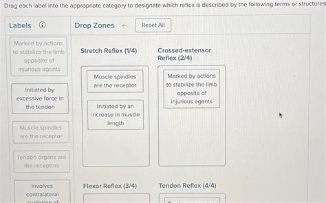 Solved Drag Each Label Into The Appropriate Category To Chegg