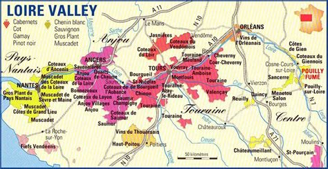 Christian Salmon Sancerre Rose Loire Valley France Blog Your