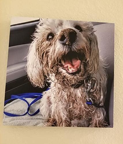 Hints From Heloise Lifestyles