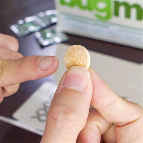 Cockroach Catcher Bugmd