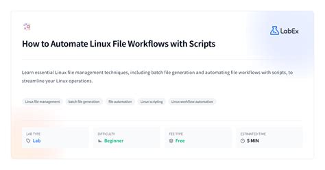 How To Automate Linux File Workflows With Scripts Labex