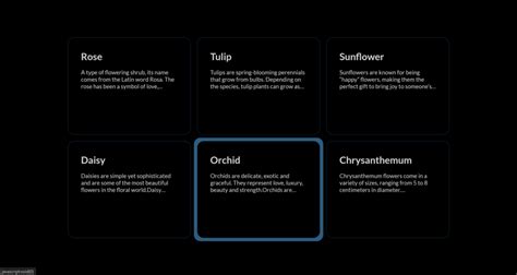 How To Make Card Mouse Hover Effect Using Html Css And Javascript