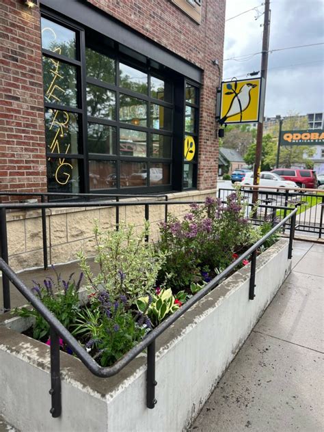 Meet Charley Perry Owner Of Perrys Plants Shoutout Colorado