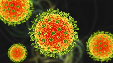 New Camp Hill Virus Discovered In Alabama Is Relative Of Deadly Nipah