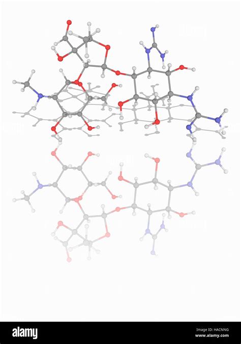 Chemical Structure Streptomycin Tuberculosis Antibiotic Cut Out Stock